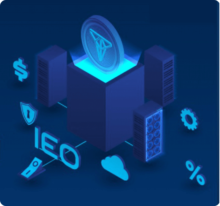 IEO Exchange Offering Development Services | EIY SYS