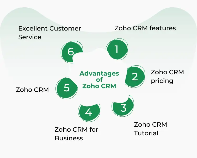 Top 10 Reasons to Choose Zoho CRM for Business - Eiysys