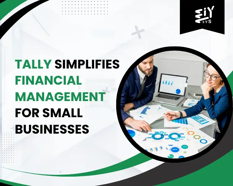 How Tally for Small Businesses Simplifies Financial Management - Eiysys