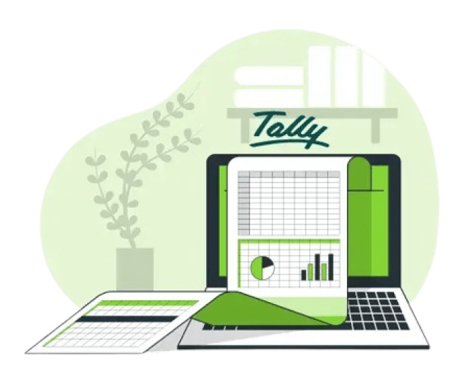 Optimize Your Business with Tailored Tally Solutions - Eiysys